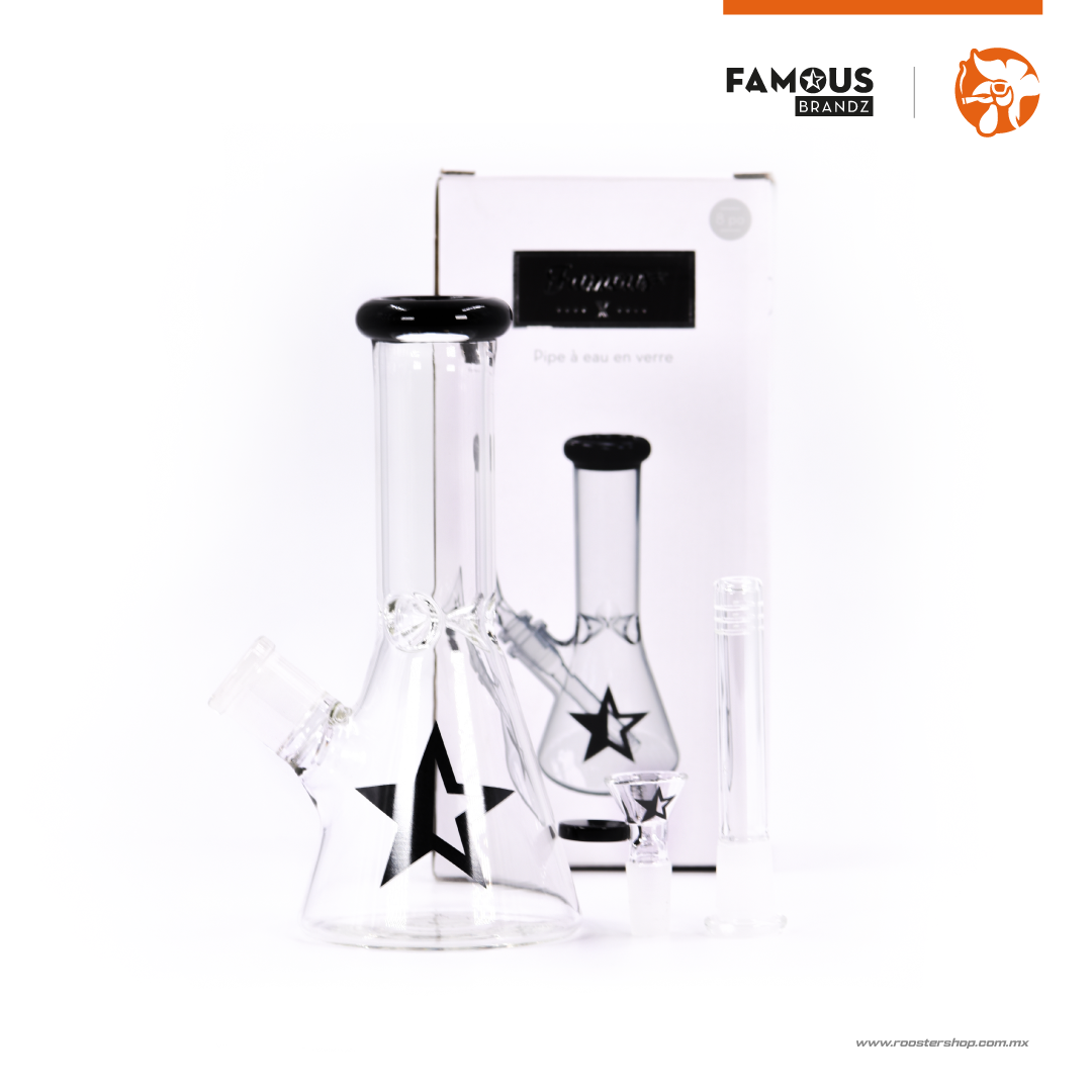 Famous Brandz® Beaker Bong – Roostershop